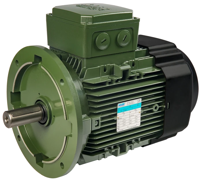 IEC TEFC type surface electric motors | SAER